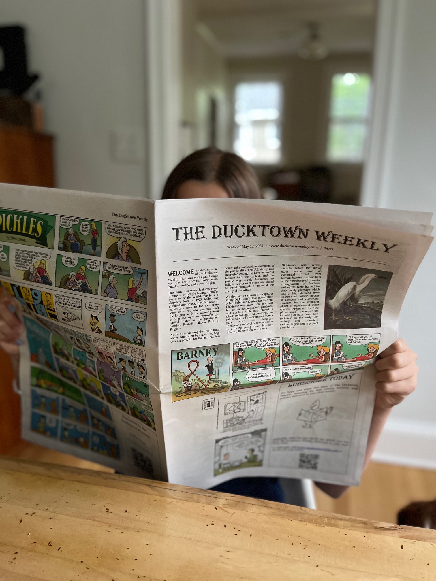 About – Ducktown Weekly